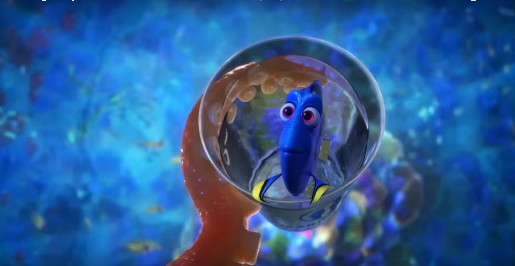 all-trailers-lead-to-finding-dory-check-out-brand-new-footage-in-this ...